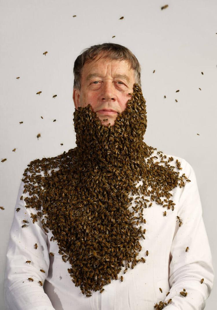 reFocus Awards | World Photo Annual