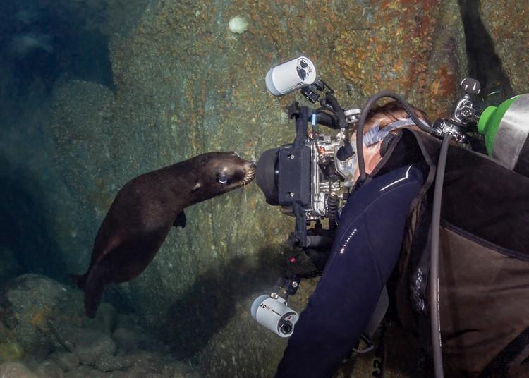 reFocus Awards | Salvatore Balice | Nominee (Abstract)