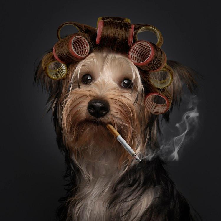 reFocus Awards | Bernard Sim | Honorable Mention (Conceptual)