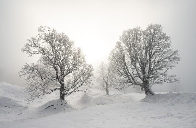 reFocus Awards | Corinne Dörflinger | Nominee (Landscapes)