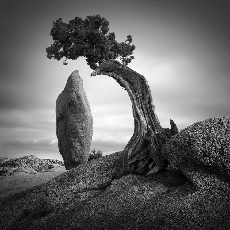 reFocus Awards | Jan Bell | Silver (Landscapes)