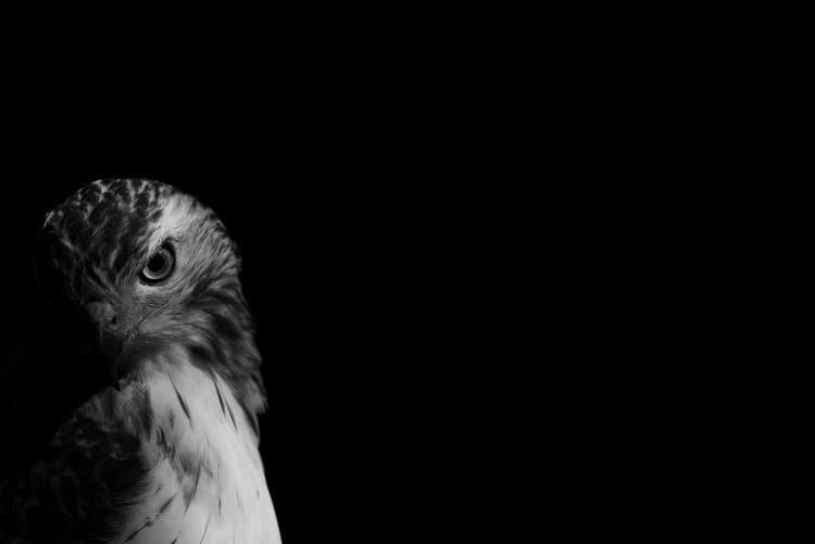 Refocus Awards Juan David Cortes Echeverria Nominee Wildlife