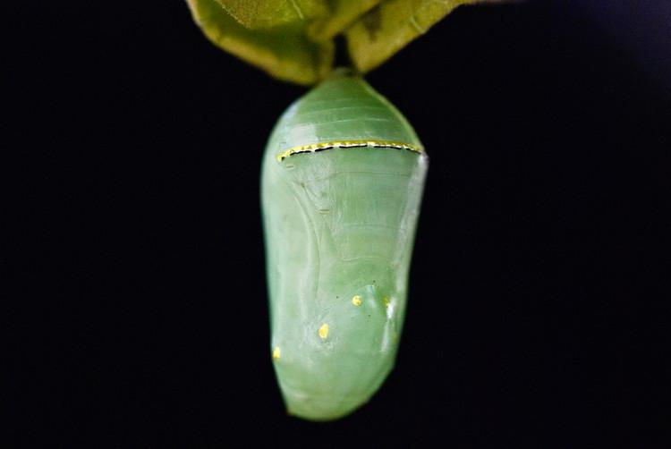 reFocus Awards | Beverly Peterson Stearns | Nominee (Nature)