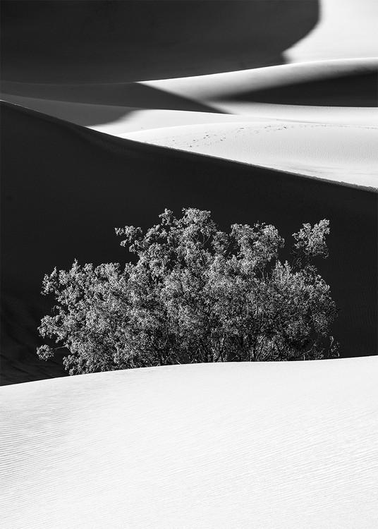 reFocus Awards | Eric Renard | Nominee (Landscapes)