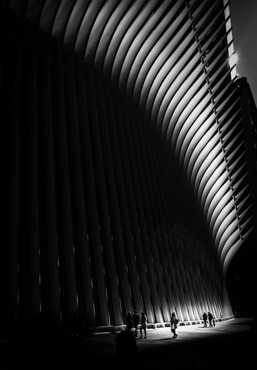 reFocus Awards | Xavier Ponce | Honorable Mention (Street)