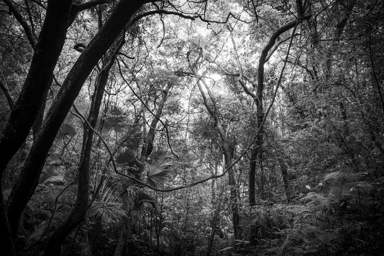 reFocus Awards | Manisha Shah | Nominee (Nature)