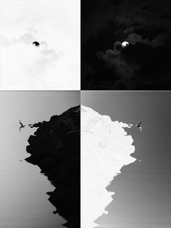 reFocus Awards | Zili Zhang | People's Vote Award (Conceptual)