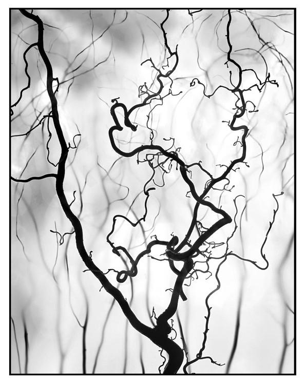 reFocus Awards | David Gray | Honorable Mention (Abstract)