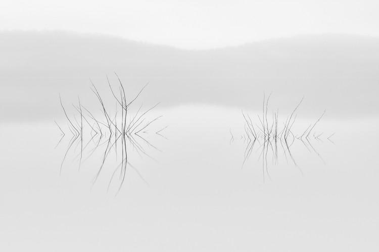 reFocus Awards | Danielle Austen | Honorable Mention (Minimalism)